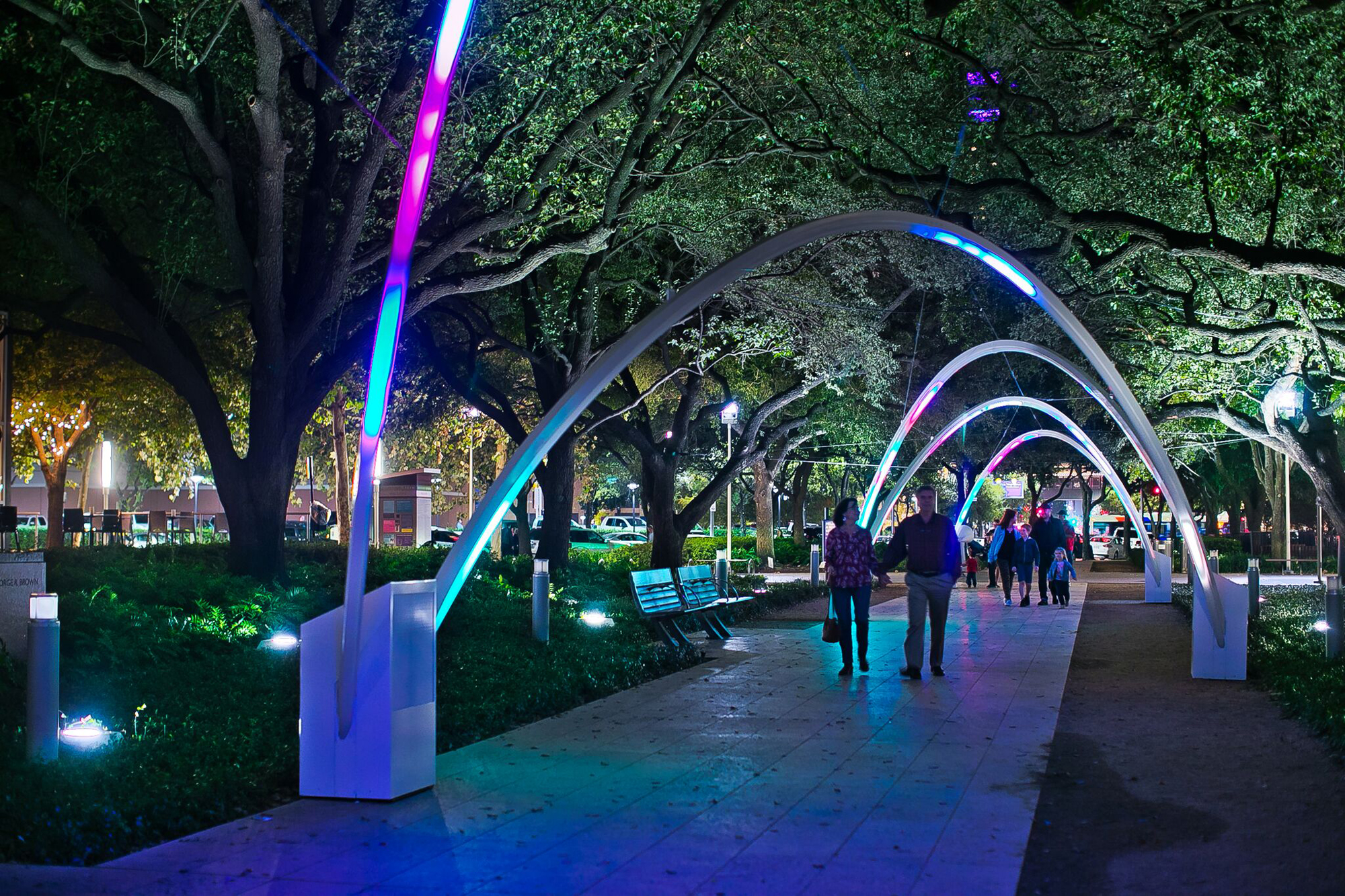 Hello Trees | Daily tous les jours