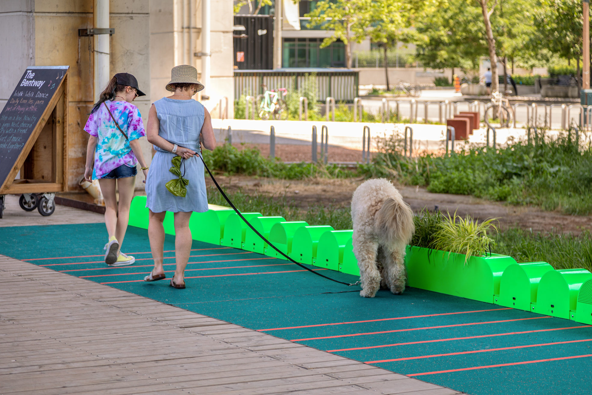 Walk Walk Dance | Daily tous les jours