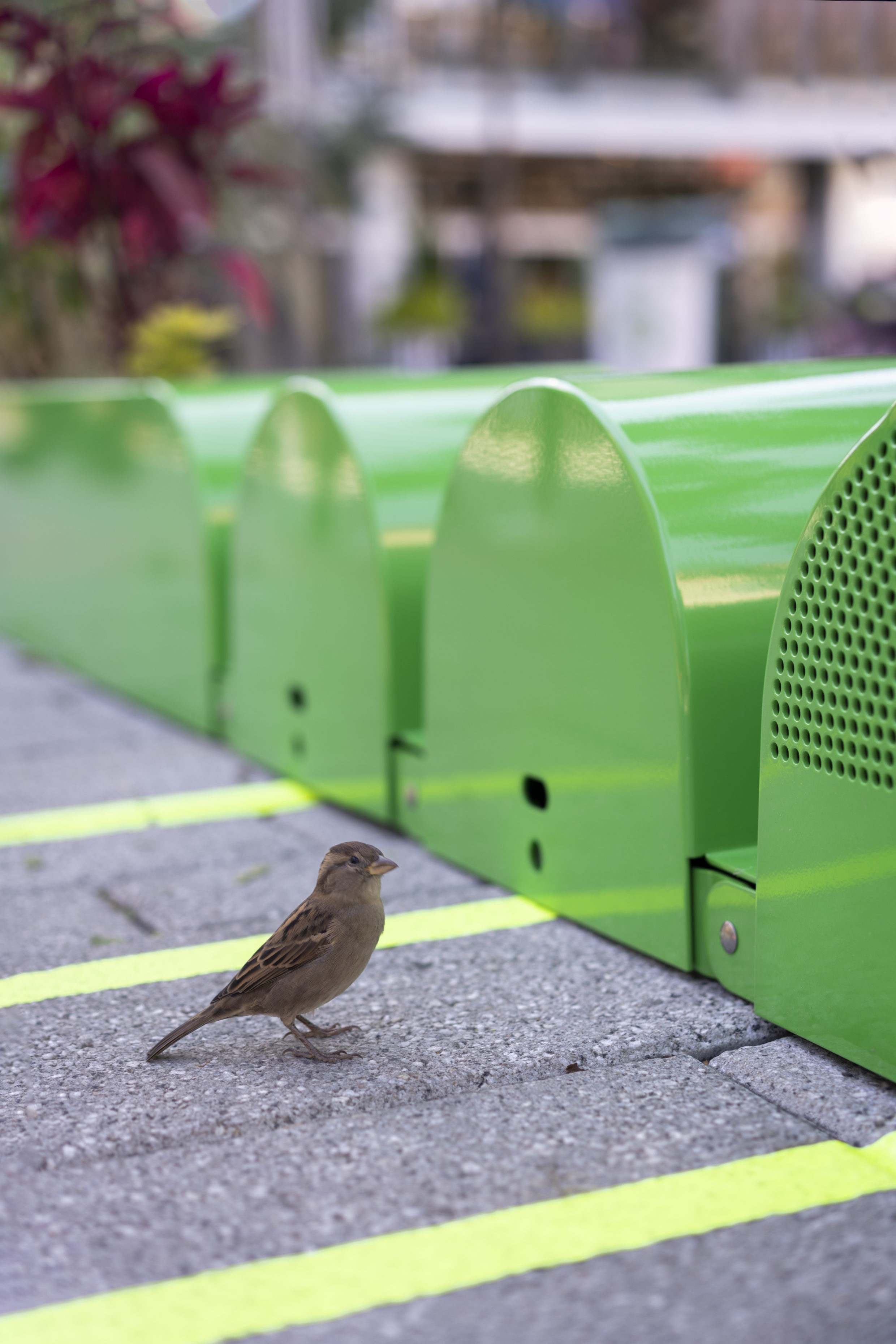 Walk Walk Dance | Daily tous les jours