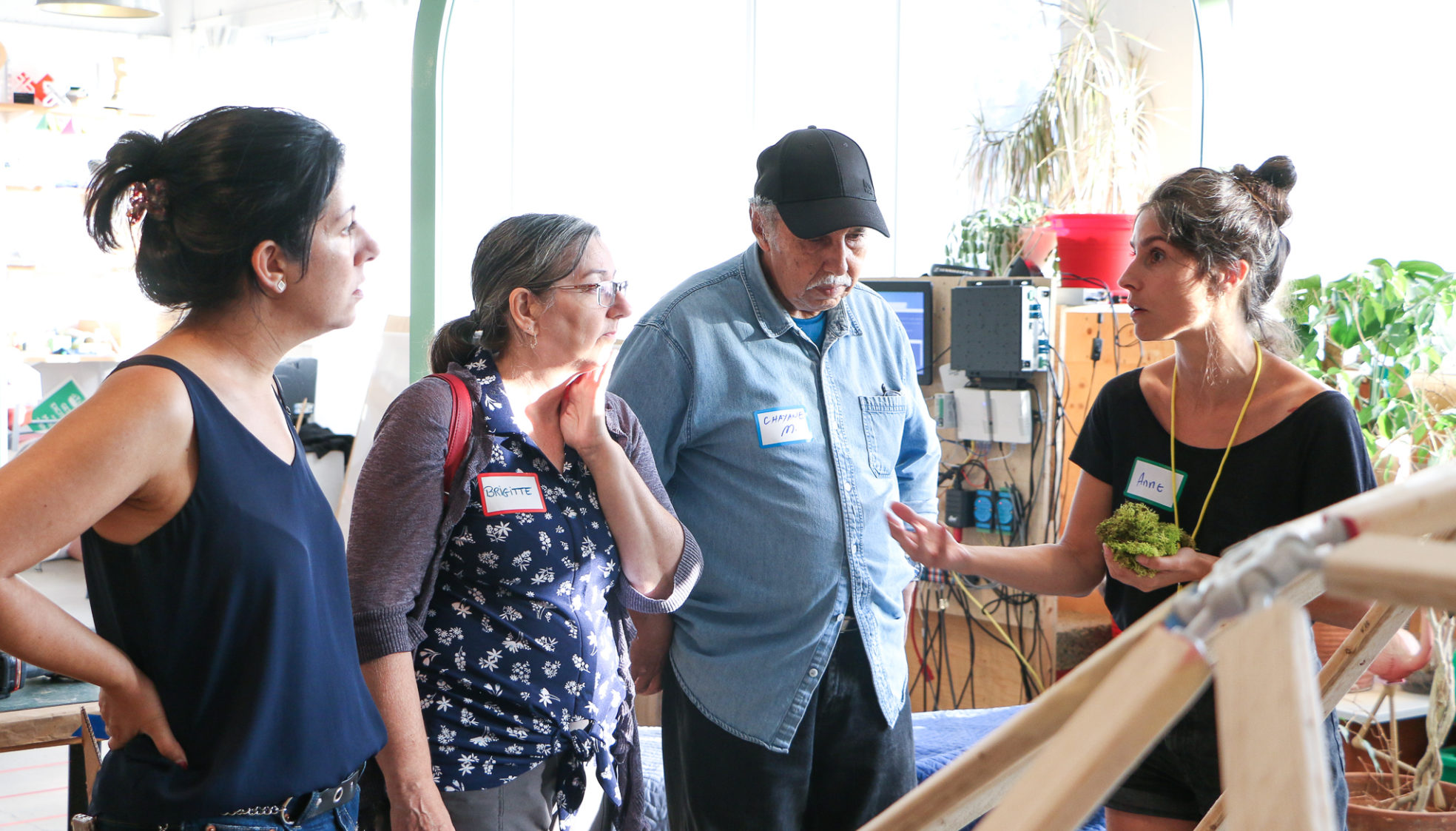 Micro-museums | Daily tous les jours